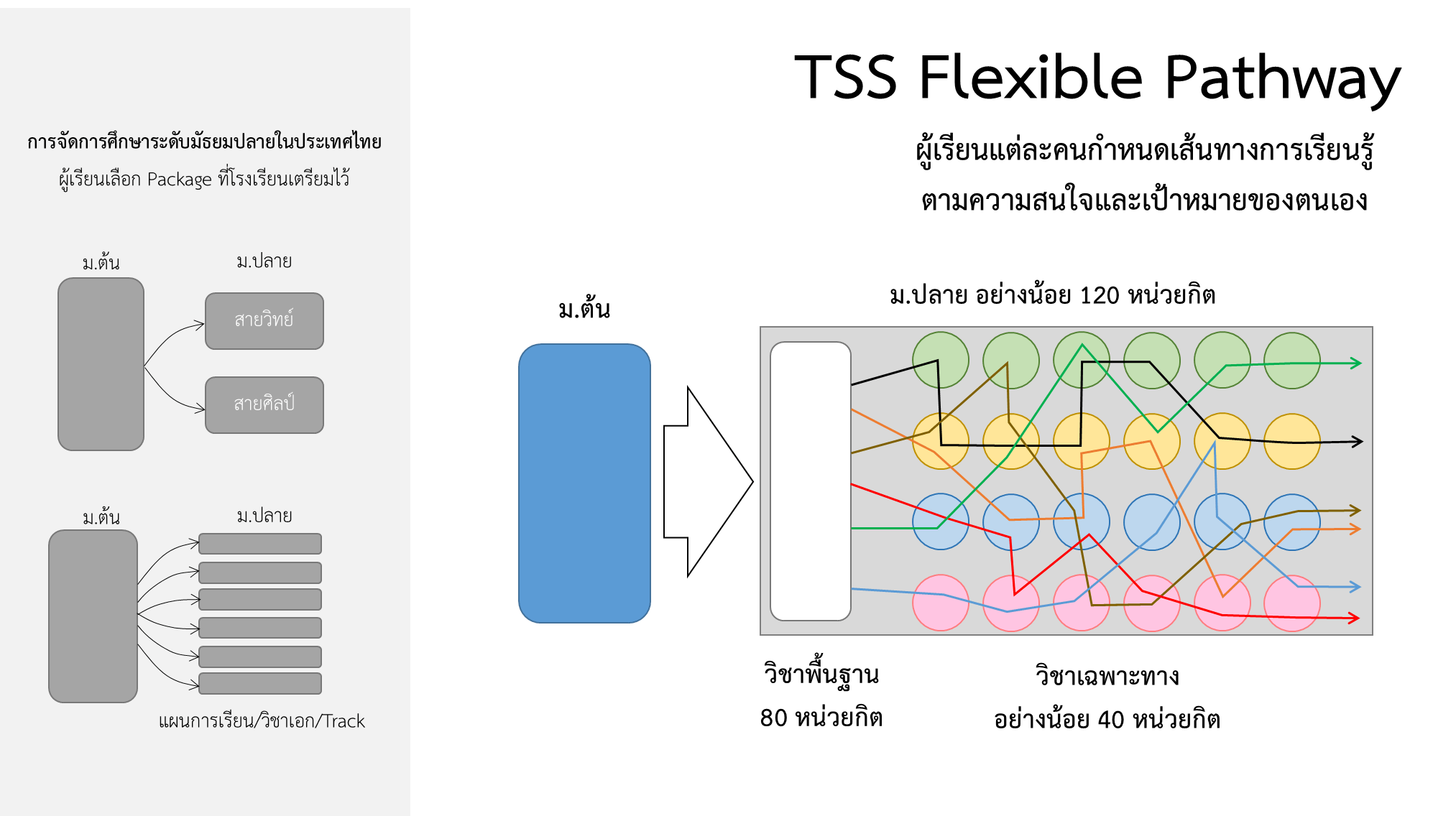 เส้นทางการเรียนรู้ที่ยืดหยุ่น (TSS Flexible Pathway)